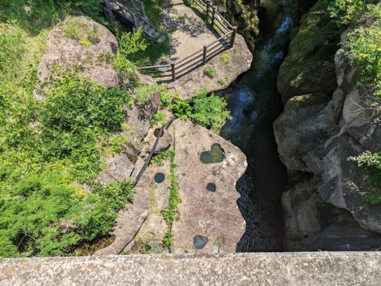 秋保｜鯛きち姉妹店が磊々峡のハート岩近くにオープン！自家製あんこの魅力を堪能「an cafe TAIKICHI（アンカフェタイキチ ...